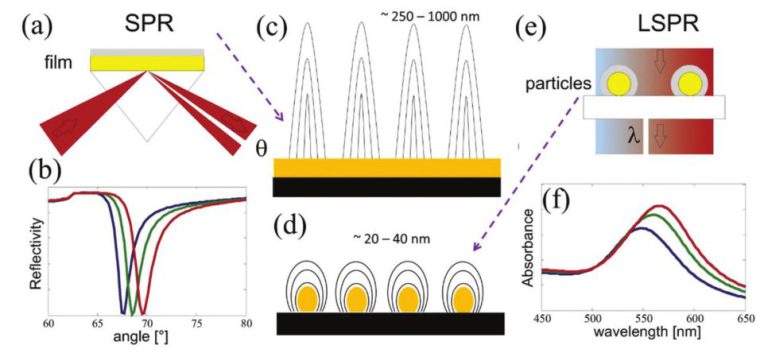 图三.SPR 和LSPR机制示意图