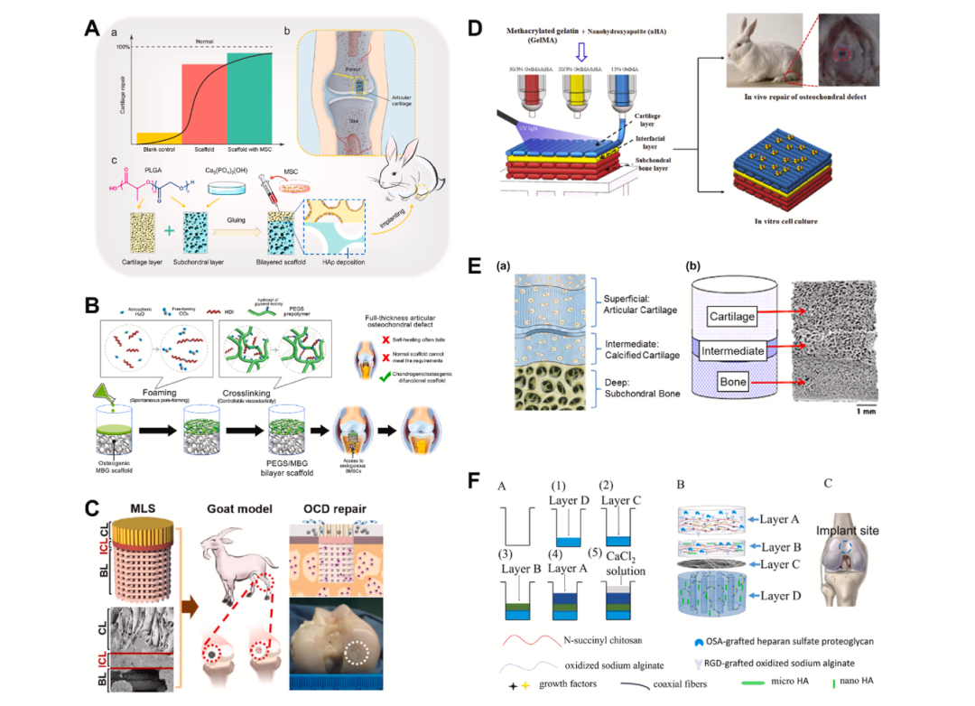 Fig. 3. Examples of multilayer scaffold designs for osteochondral ...