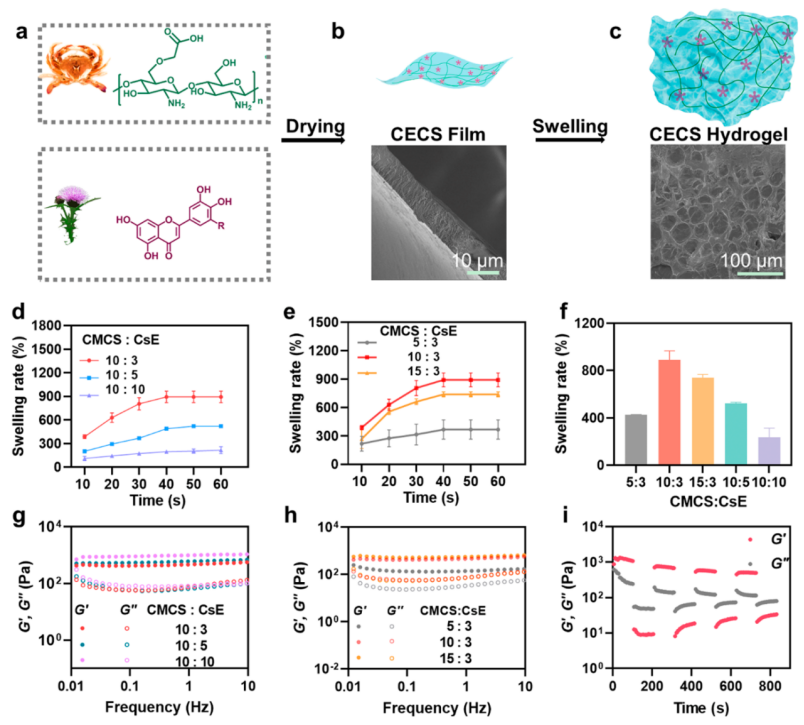 图2. 不同比例CMCS与CsE所制备的CECS水凝胶的物理性能测试