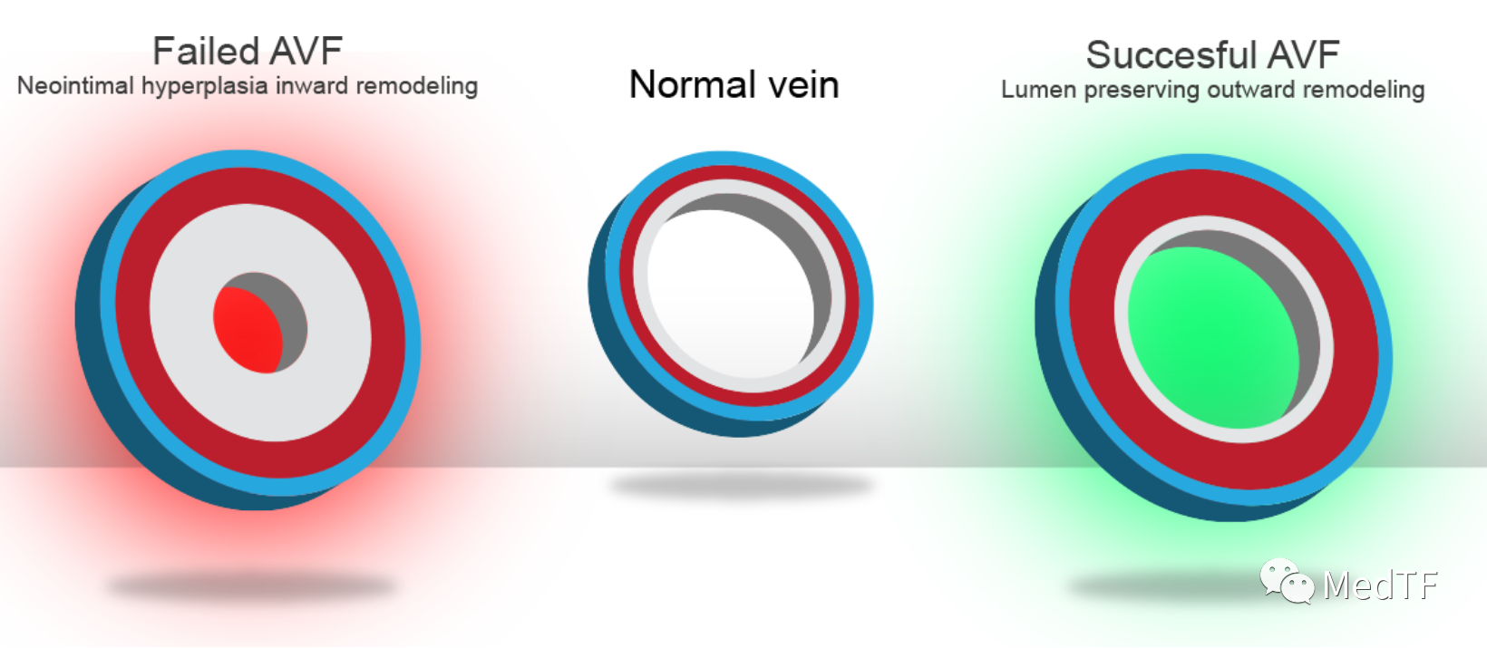 Myles Greenberg Alucent Biomedical CEO