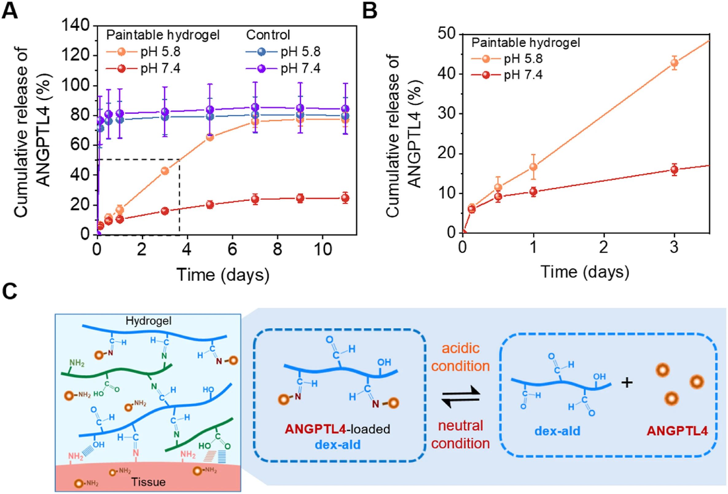 医疗器械制造展|有源医疗设备展-研发设计-Medtec中国展