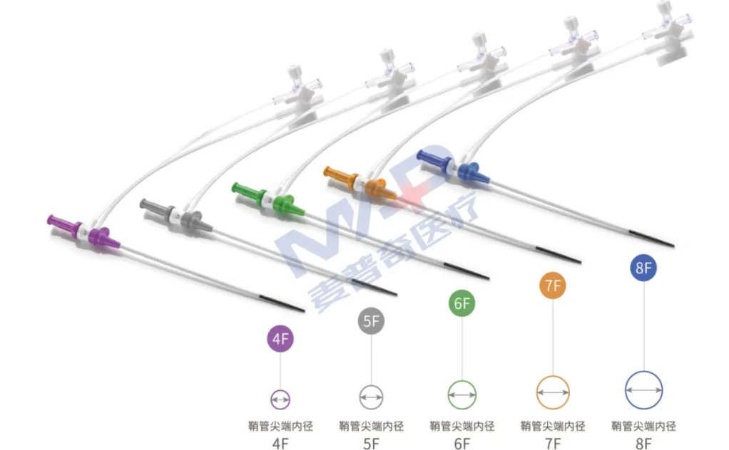 1.1普通血管鞘：